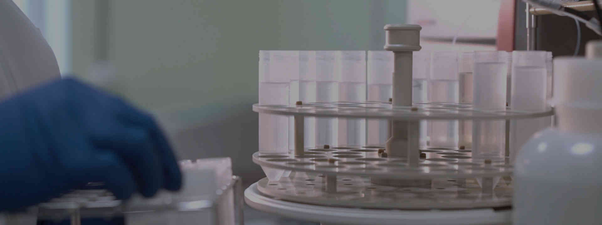 Antibody - Creative Biolabs