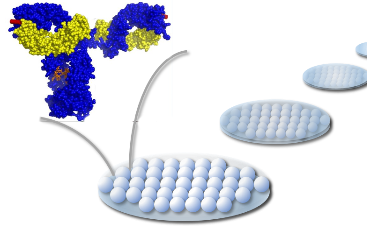 Recombinant Antibody Array Technology - Creative Biolabs