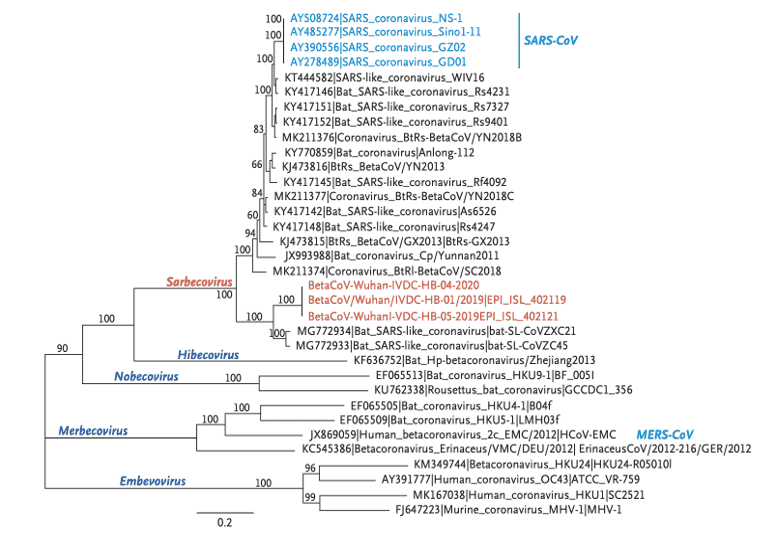 What is SARS-CoV-2? - Creative Biolabs